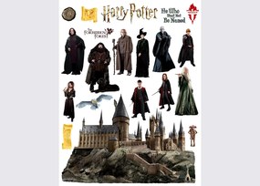 Dětská samolepka na zeď Harry Potter Kouzelné Bradavice | 65 x 85 cm | DDK2347