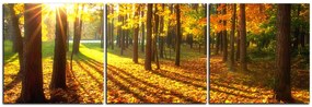 Obraz na plátně - Podzimní les - panoráma 5176B (90x30 cm)