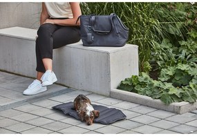 Náhradní podložka do Cestovní tašky pro psy MiaCara Sporta Velikost: SM - antracit 85 x 44 x 2,5 cm