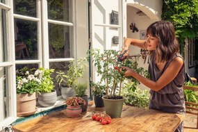 © 2024 - 2025 GARDENA Nůžky FreshCut
