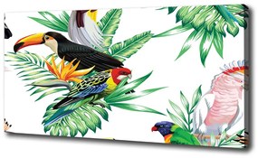 Wallmuralia Foto obraz na plátně do obýváku Tropičtí ptáci 100x50