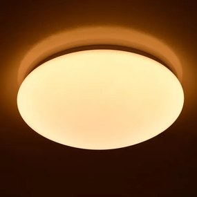 Brilagi - LED Stmívatelné stropní svítidlo OPAL LED/24W/230V 3000/4000/6500K+ DO