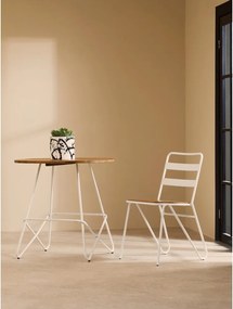 Bílá/v přírodní barvě jídelní židle z jilmového dřeva District – Premier Housewares
