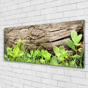 Plexisklo-obraz Tráva Listy Květiny 125x50 cm