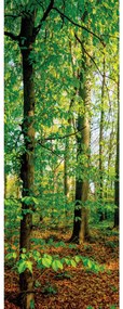 XXXLutz OBRAZ NA PLÁTNĚ, stromy, 30/80/3 cm Euroart - Obrazy na plátně - 005721022201