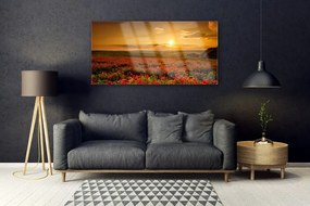 akrylový obraz Pole Máky Západ Slunce Louka 120x60 cm