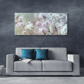Plexisklo-obraz Polní Květiny Louka Příroda 125x50 cm