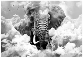 Fototapeta - Elephant in the Clouds (Black and White)