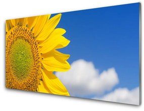 Obraz na skle Slunečnice Mraky 120x60 cm