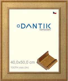 DANTIK rámeček 40x50 | TOOTH zlatá (Sklo Čiré)