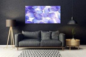 akrylový obraz Plátky Rostlina Příroda 120x60 cm