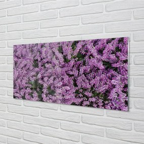 Obraz na skle fialové květy 125x50 cm