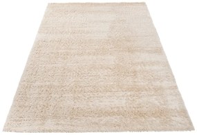 Exkluzivní kusový koberec SHAGGY PORTE-V VS0000 - 120x170 cm