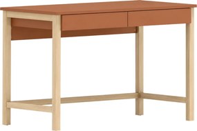 Psací stůl do dětského pokoje MODEL Zvolte barvu: Jantarová, Zvolte rozměr: 120x60 cm