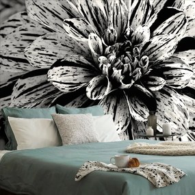 Tapeta rozkvetlý květ černobílý - 300x200 cm