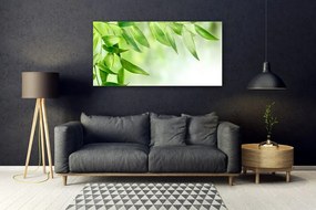 Plexisklo-obraz Zelené Listy Příroda 120x60 cm