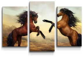 Sablio Obraz - 3-dílný Vzpínající se koně - 75x50 cm