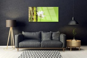 akrylový obraz Bambus Stonek Rostlina Příroda 100x50 cm