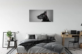 Obrazy na plátně Černý pes 125x50 cm