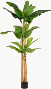 Exteriérová umělá rostlina Banana Plant