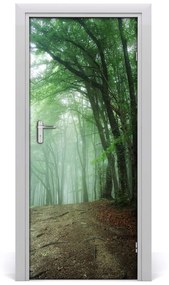 Fototapeta na dveře samolepící mlha v lese 75x205 cm