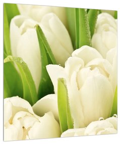 Obraz květů tulipánů (40x40 cm)