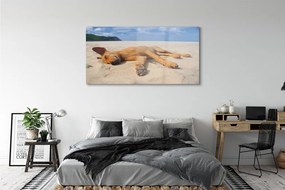 akrylový obraz Ležící pes pláž 140x70 cm