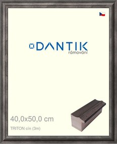 DANTIK rámeček 40x50 | TRITON cín (Sklo Čiré)