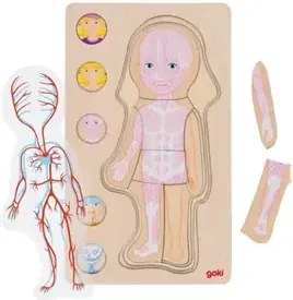 GOKI Vícevrstvé puzzle Lidské tělo Dívka / od 4 let