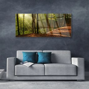 akrylový obraz Les Stromy Příroda 125x50 cm