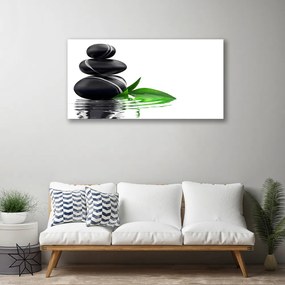 Obraz na plátně Kameny Listy Voda Umění 100x50 cm