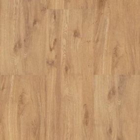 Vinylová plovoucí podlaha BRASED Ecoplus Click 9507 Dub noblesní 1,883 m²