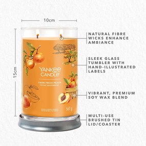 Yankee Candle vonná svíčka Signature Tumbler ve skle velká Farm Fresh Peach 567g