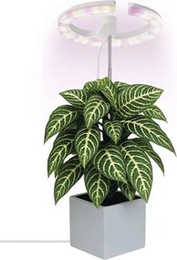 EMOS Bílá LED pěstební lampička 8W stmívatelná Z7902