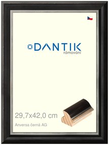 DANTIK rámeček 29,7x42 | ANIVERSA černá AG (Plexi Čiré)