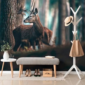Fototapeta jelen v borovém lese - 150x100 cm