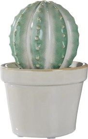 CACTUS Dekorace 16 cm