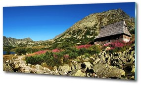 Wallmuralia Fotoobraz na skle Bacovina v údolí 100x50