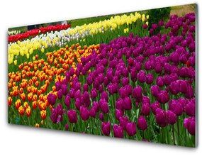 Akrylové obraz Tulipány Květiny 125x50cm