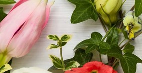 Malvis ® Atypický obraz něžné květiny Velikost (šířka x výška): 100x50 cm