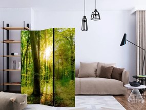 Paraván Forest Rays Dekorhome 225x172 cm (5-dílný)