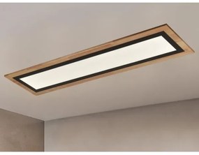 LED Stmívatelné stropní svítidlo LED/55W/230V 3000-6500K + dálkové ovládání