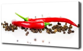 Wallmuralia Foto obraz na plátně Chilli a pepř 100x50