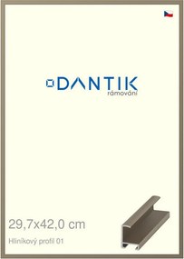 DANTIK rámeček 29,7x42 | ALU profil 6001 champagne (Plexi Čiré)