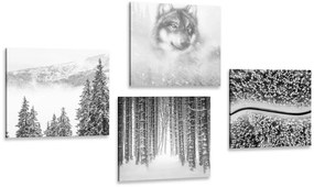 Set obrazů vlk v tajemném lese v černobílém provedení Varianta: 4x 60x60