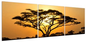Obraz stromu v savaně (150x50 cm)