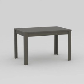 Jídelní stůl REA TABLE Dekor: GRAPHITE