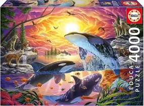 EDUCA Puzzle Kosatky a vlci / 4000 dílků