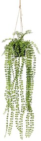 Emerald Umělý fíkus pumila převislý v květináči 60 cm - Default Title