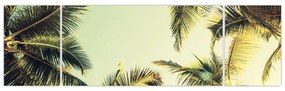 Obraz s kokosovými palmami (170x50 cm)